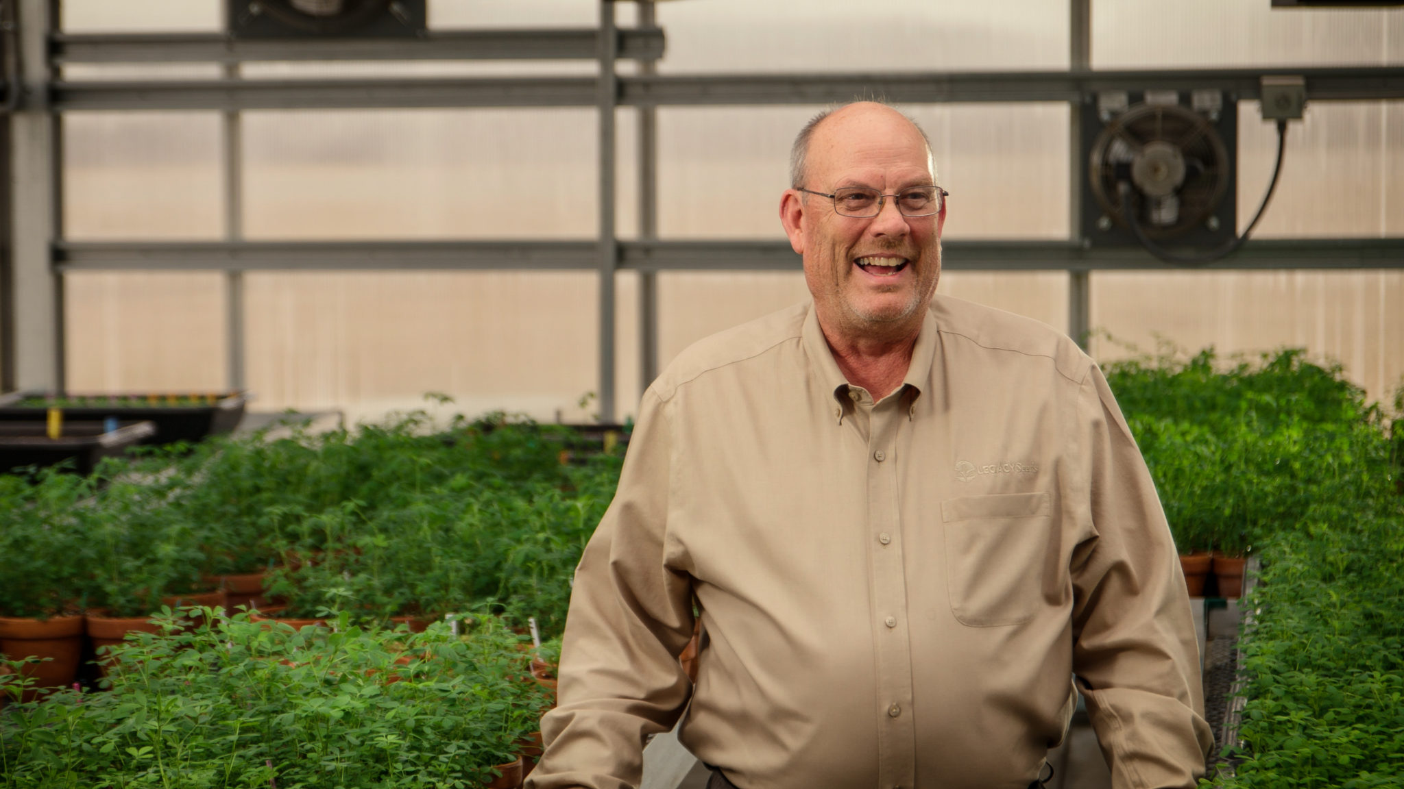 Upcoming Alfalfa Varieties Will Further Increase Farmer Profitability ...