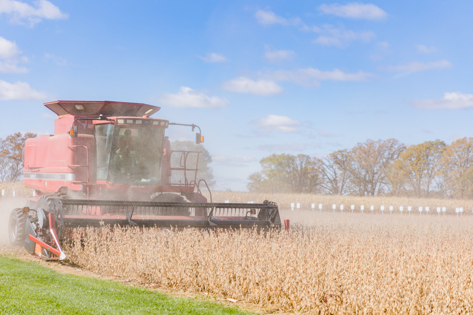 LS231-21C Shines in Minnesota South Conventional Soybean F.I.R.S.T ...