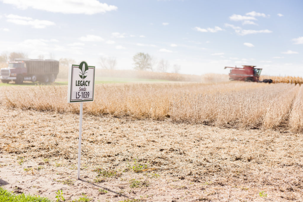 LS231-21C Shines in Minnesota South Conventional Soybean F.I.R.S.T ...
