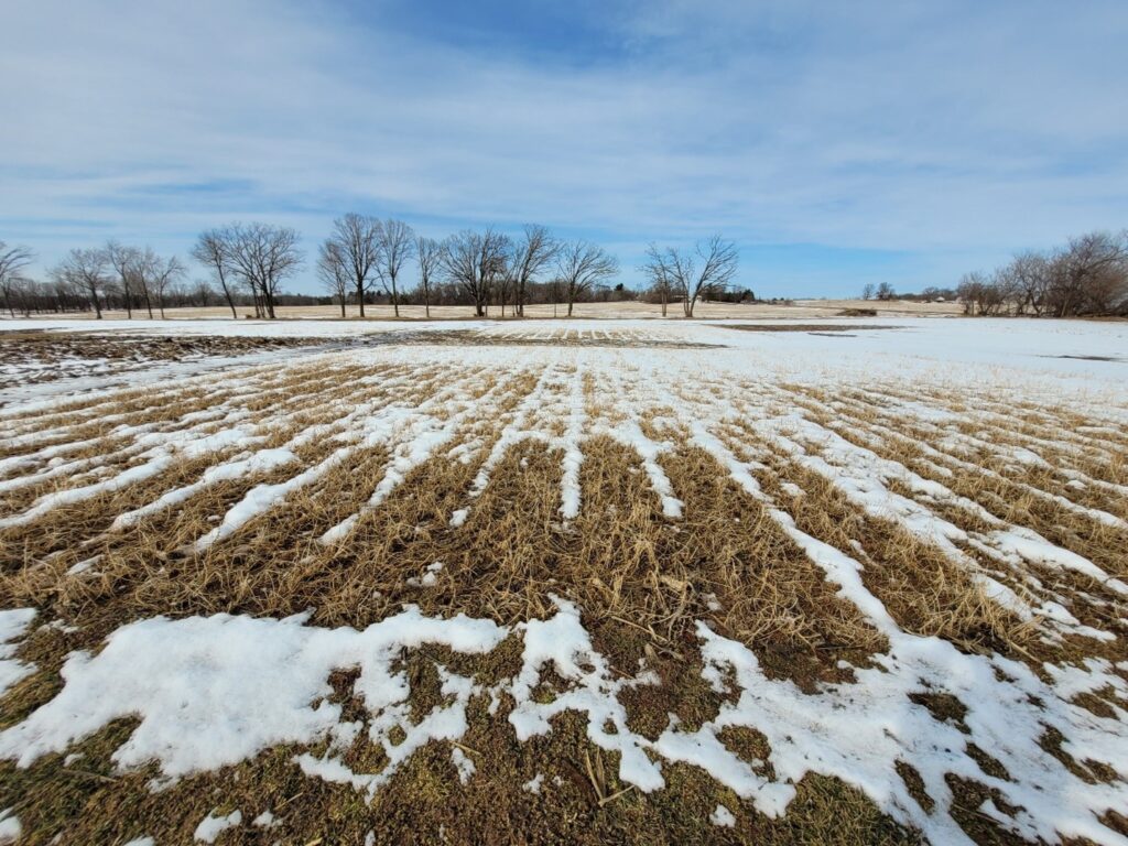 Persistence is A Key Attribute to Our Alfalfa Line-Up - Legacy Seeds