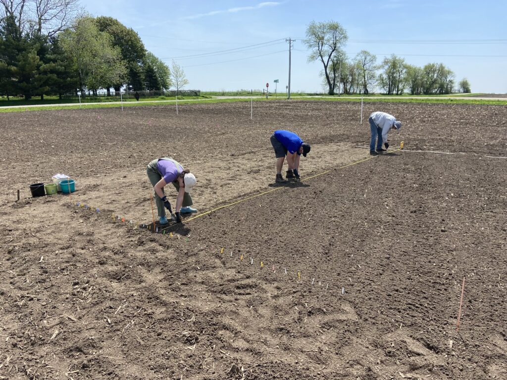 Building the Nurseries - Legacy Seeds