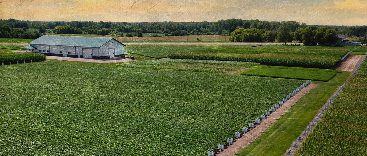 Legacy Seeds Dealer Kick Off - Legacy Seeds