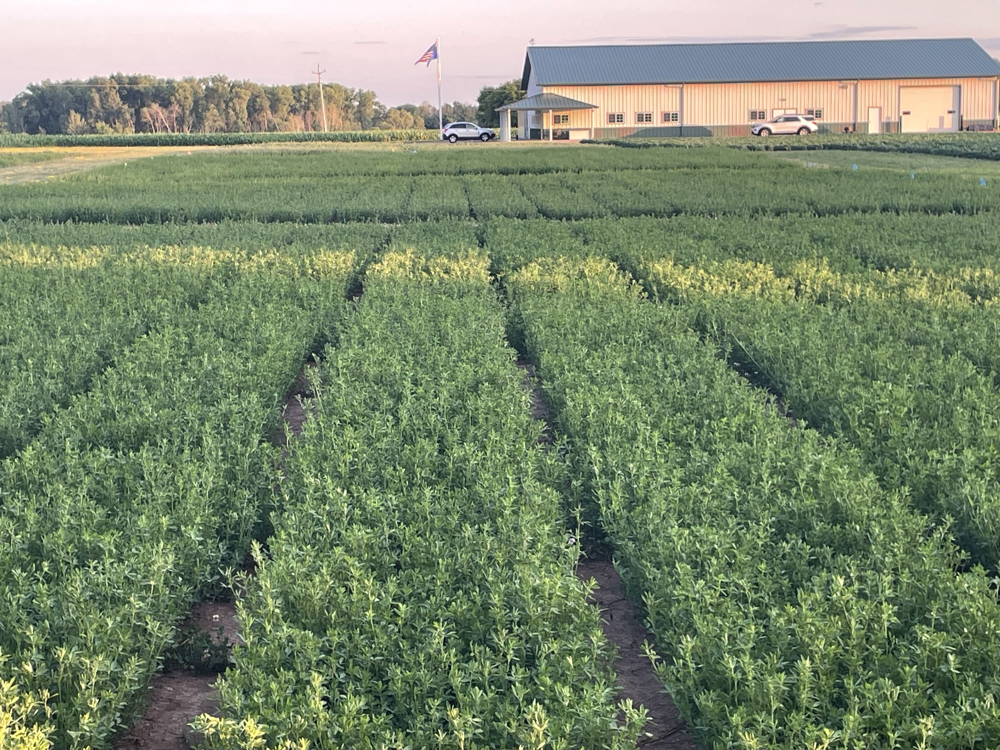 Legacy Seeds: Where Passion Meets Profession - A Chat with Bret and ...