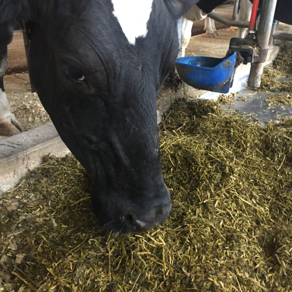 Legacy Seeds: Where Passion Meets Profession - A Chat with Bret and ...